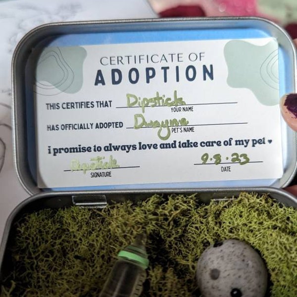 BABY ROCK! Magnetic W/ Adoption Certificate! Adopt an Adorable Desk Pet ...