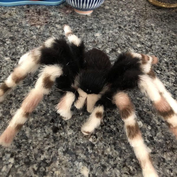 Realistic Tarantula Spider Poseable Shelf Decor Wall Mountable Faux ...