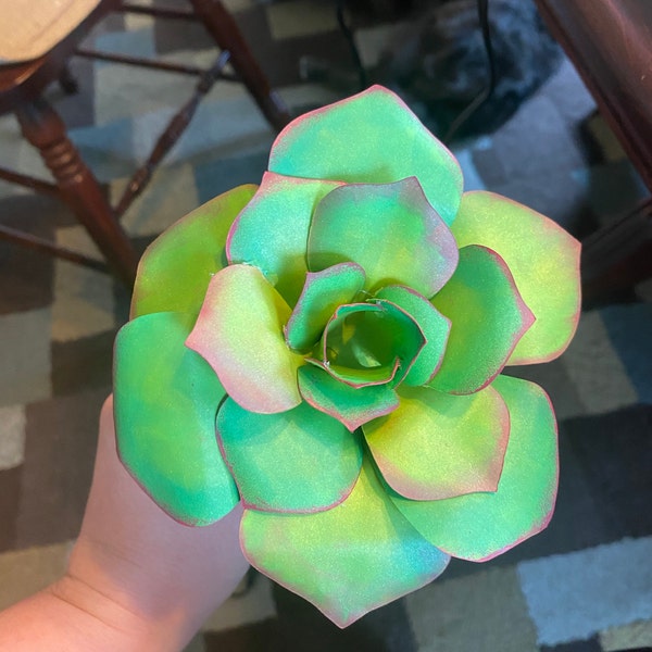 Paper Flowers, Paper Succulent, DIY Paper Flowers, Paper Flowers PDF ...