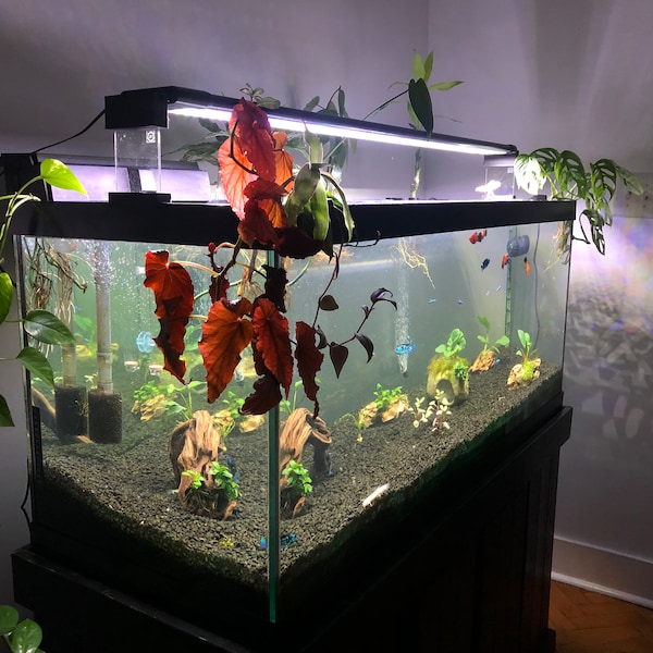 Hygger Programmable Light Riser, Attractive Stable Elevated Stand ...