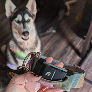 Fi Series 2 Collar Adapter - Etsy