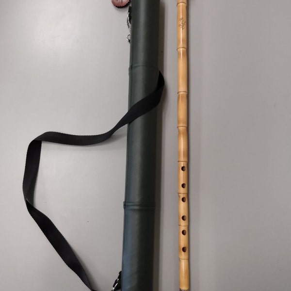 Flute Bag. Hard Case Flute Bag. - Etsy