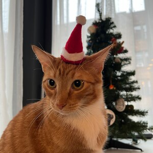 Mini Party Hat for Cats - Etsy