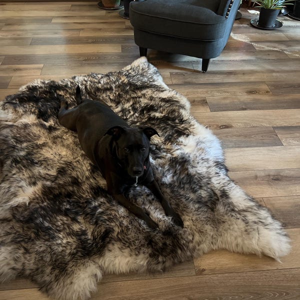 GIANT SHEEPSKIN Triple XXL Mouflon Throw Genuine Leather Sheep Skin 64 ...