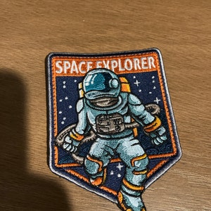 Officer RACCOON POLICE BADGE Blue or Black Patch Morale Embroidery ...