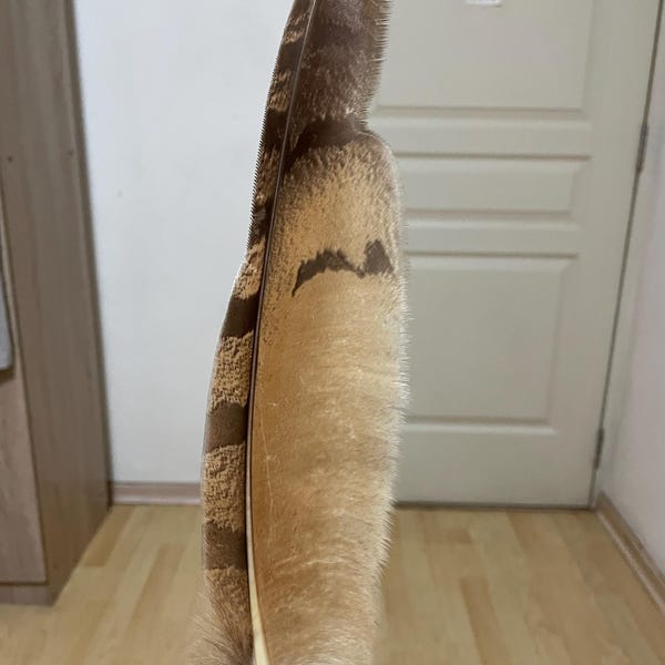 Set of Banded Flint Stones #3, 125g Striped Rough Stone Natural Flint ...