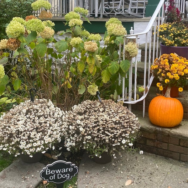 Warning Dog Sign, Warning Pet Sign, Warning Sign, Caution Dog Sign ...