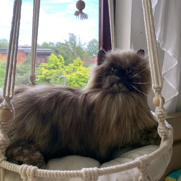 Plush Black Scary Cat Halloween Decor - Etsy