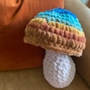Rainbow Mushroom Pillow, Stuffie, Plushie, Boho Chic Decor for Living ...