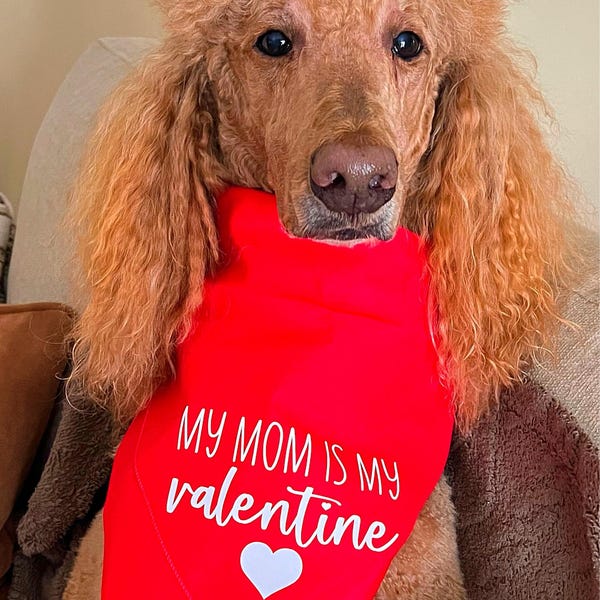 Ball-less & Flawless Dog Bandana, Funny Dog Bandana, Neuter Bandana ...