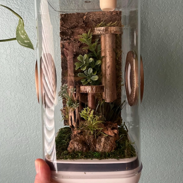 Jumping Spider Enclosure 5x5x9 Spider House, Spider Tank, Spider ...