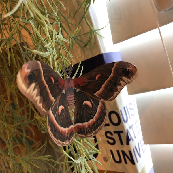Paper Moth Decorations, Faux Cecropia and Emperor Moth Set, 'autumn ...
