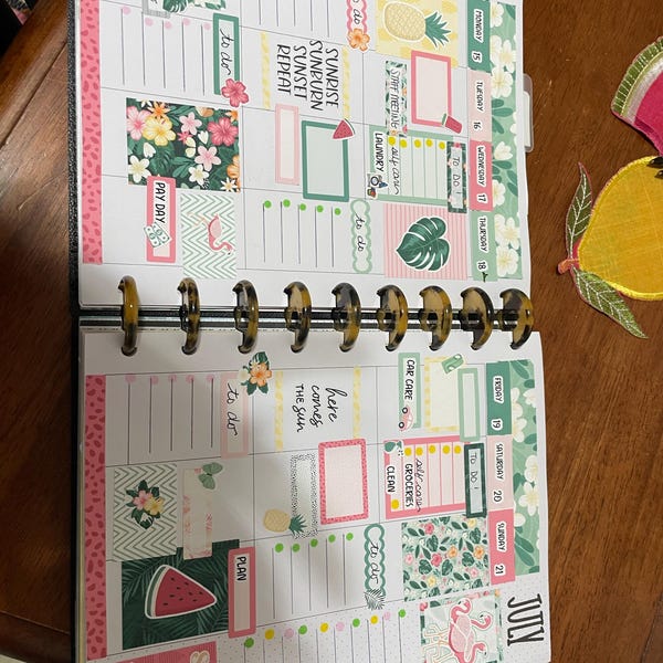 Colibri Any Month PREPPY PLANNER for Month View | Standard Size Colibri ...