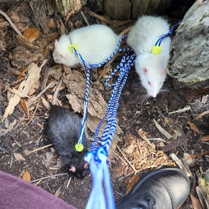 Adjustable Rat Harness Leash for Rats and Mice - Etsy