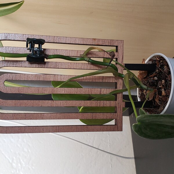 Modern Boho Rainbow Indoor Plant Trellis (2 Sizes) | Mini & Small ...