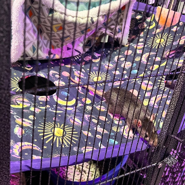 Rat Fall Breaker, Rat Fall Safe, Rat Cage Hammock, Rat Cage, fall ...