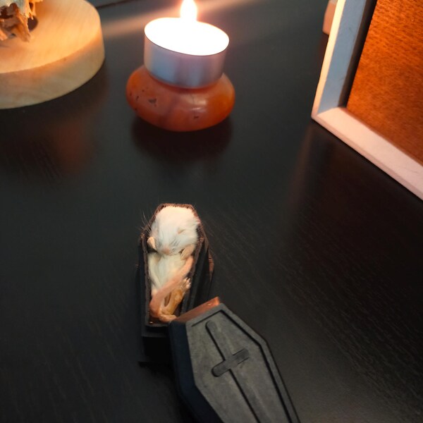 XXS Little Baby Coffin Mouse Adorabe Cute Mouse in a Tiny Open Casket ...
