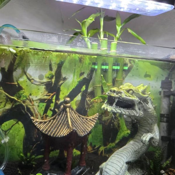 BEST Lid Props for Fluval Flex and Evo Lid Prop (SET OF 2) - Etsy