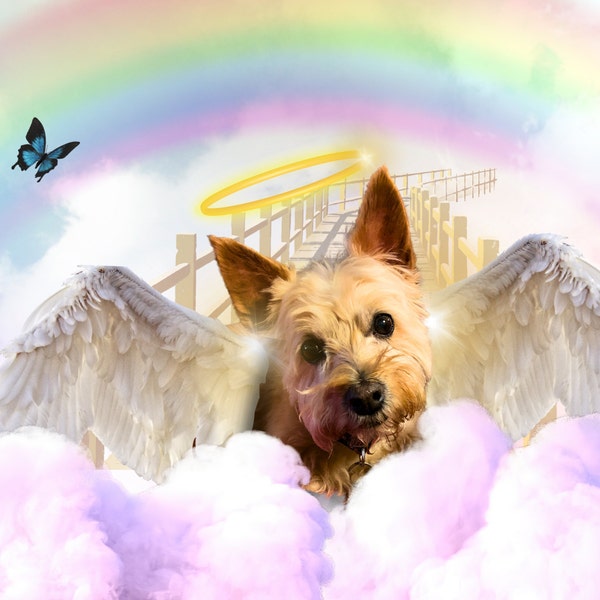 Custom Rainbow Bridge Pet Memorial Photo - Etsy