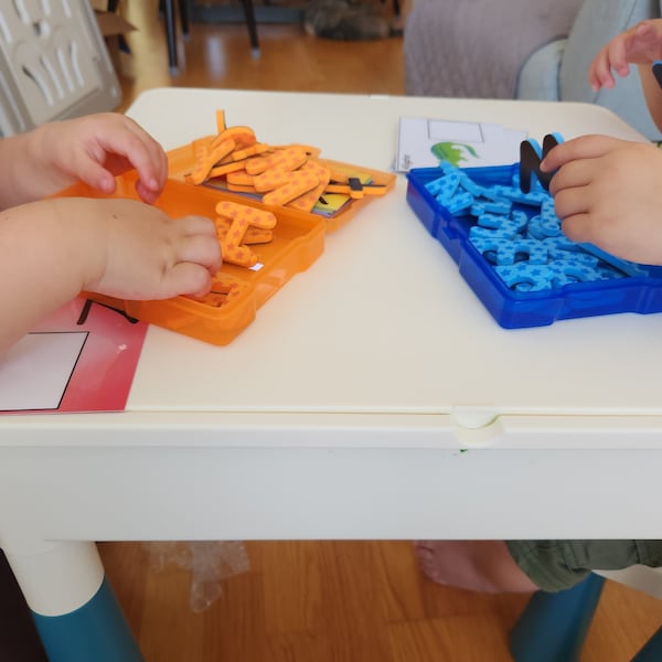 Build a Bundle- 16 Task Box Learning Activity Sets and Carrying Case ...