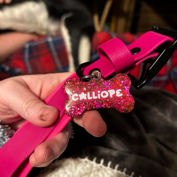 Custom Resin Dog Tag, Design Your Own Dog Tag, Custom Pet ID Tag, Puppy ...