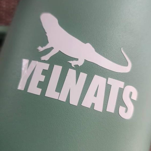 YELNATS Cup Decal Holes Stanley Yelnats Cricut Vinyl Tumbler Sticker - Etsy