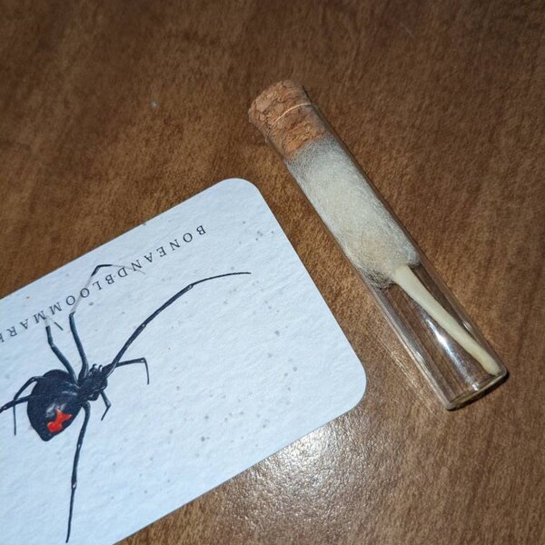 Real Moose Pellet in Glass Vial, Moose Poop, Animal Dung, Weird Gift ...