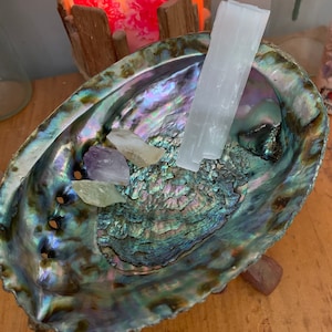 Large Abalone Shell Colorful Abalone Shell Natures painting | Etsy