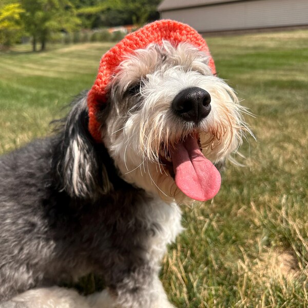 Santa Ruffle Dog Hat Crochet PATTERN - Etsy