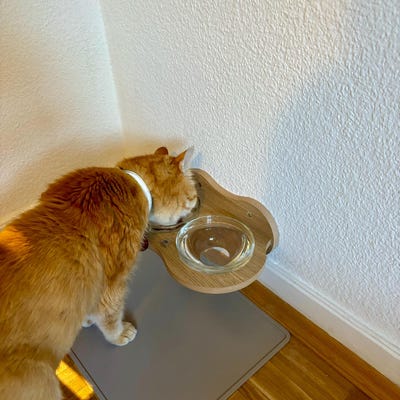 Wall Mounting Wood Feeder for Cats, Small and Medium Dogs - Etsy