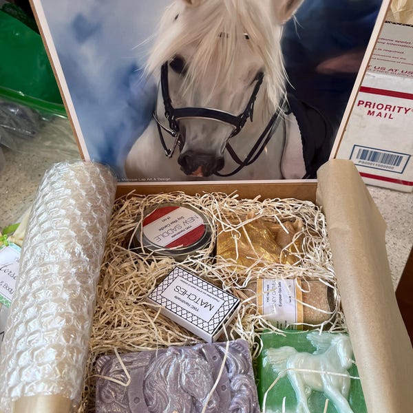 Equestrian Spa Gift Set for Horse Lover, Birthday Present, Tween, Girl ...