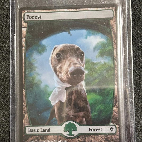 Personalized Pet Magic the Gathering Foil Land - Etsy