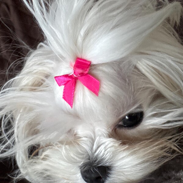 Black Satin Roses 20mm, Black Fabric Roses, Small Ribbon Roses Applique ...