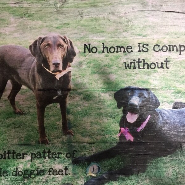 Don't Tread on Me Reclaimed Wood Sign Depicting Rattlesnake and ...