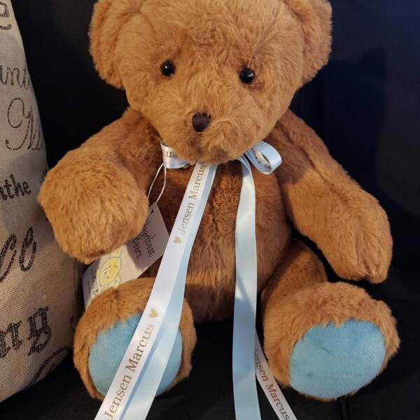 Voice Recording Teddy Bear, Personalized Plush Keepsake Gift, up to 30 ...