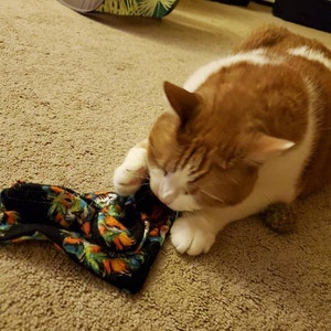 Refillable Catnip Cat Mat - Etsy