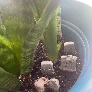 Tiny Cemetery Mausoleum Crypt Cement Potted Plant Terrarium - Etsy