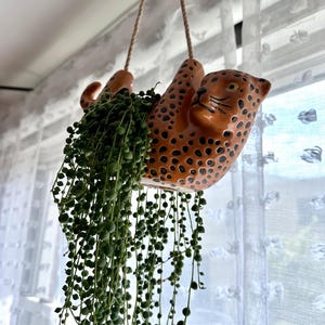 Safari Animal Table Display Hand-carved Mahogany party Animals - Etsy