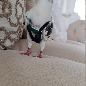 Made to Order Tula Pink Floral With Bats Pigeon Pants - Etsy