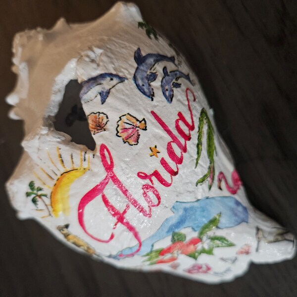 State Themed Whelk, Broken Shell Art, Decorator, Shelling, Tarheels ...