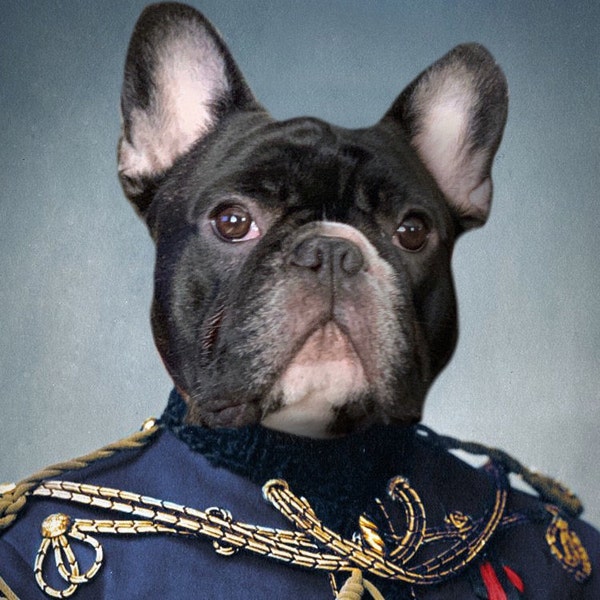 Custom Military Pet Portrait . Custom Renaissance Pet Portrait . Custom ...