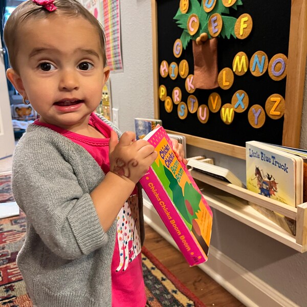 Chicka Chicka Boom Boom Felt / Flannel Board Story/alphabet Letters ...