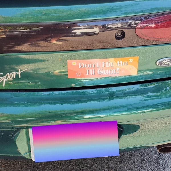 Cat Meme Bumper Sticker and Funny Bumper Magnet Gen Z, Cat Car Sticker ...