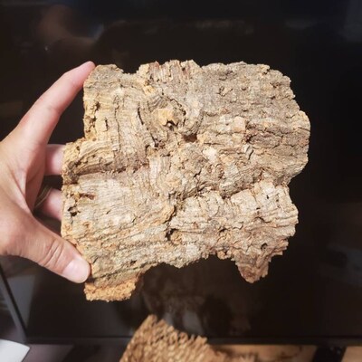 Round Moss Wall Art, Wall Hang Preserved Moss & Cork Bark, Vertical ...