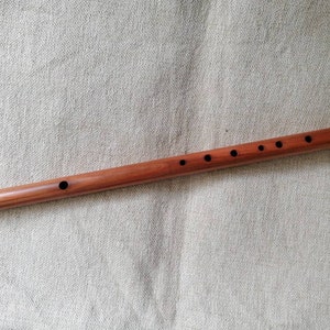 Serbian, Croatian Hungarian Stringed Folk Instrument Tamburica ...