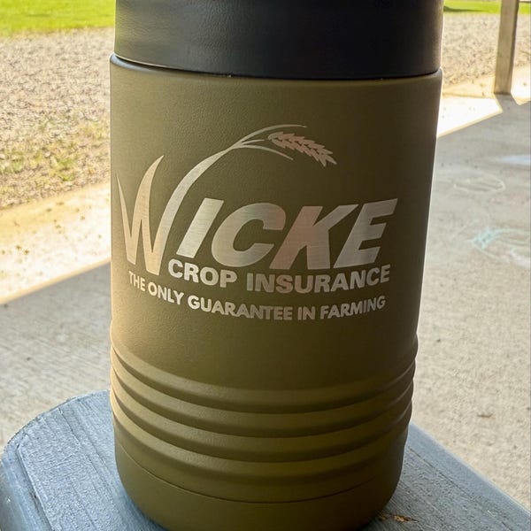 Engraved Cheer Bottle, Personalized Cheerleader Water Bottle With Straw ...