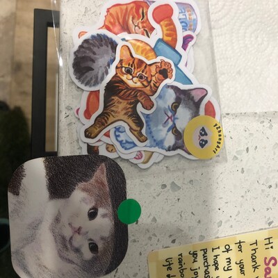Cat Meme Stickers Pack/laptop Sticker/ - Etsy