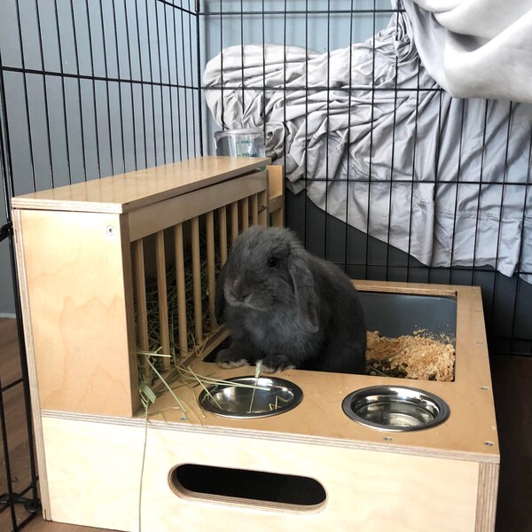 Nibbler Combo 4in1, Bunny Rabbit Hay and Food Feeder With Built in ...