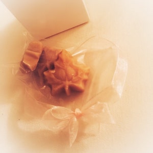 Maple Chunks - All Natural Sugar & Sweetener - Made Only With Pure ...