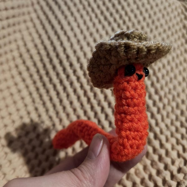 Worm in a Cowboy Hat Amigurumi Pattern PDF - Bug - Stampede - Insect ...